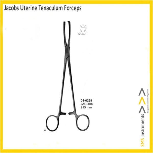 Jacobs Uterine Tenaculum Forceps | Surgical Instruments | Nazmed SMS